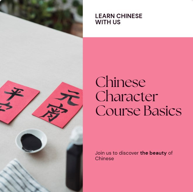 Chinese Character Course for Beginners: Speak, Read & Write with Confi ...
